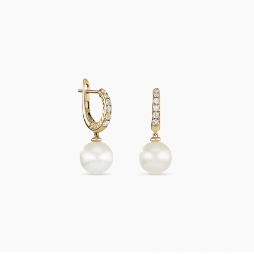 18 Different Types of Earrings- An Exploration of Styles and How to ...